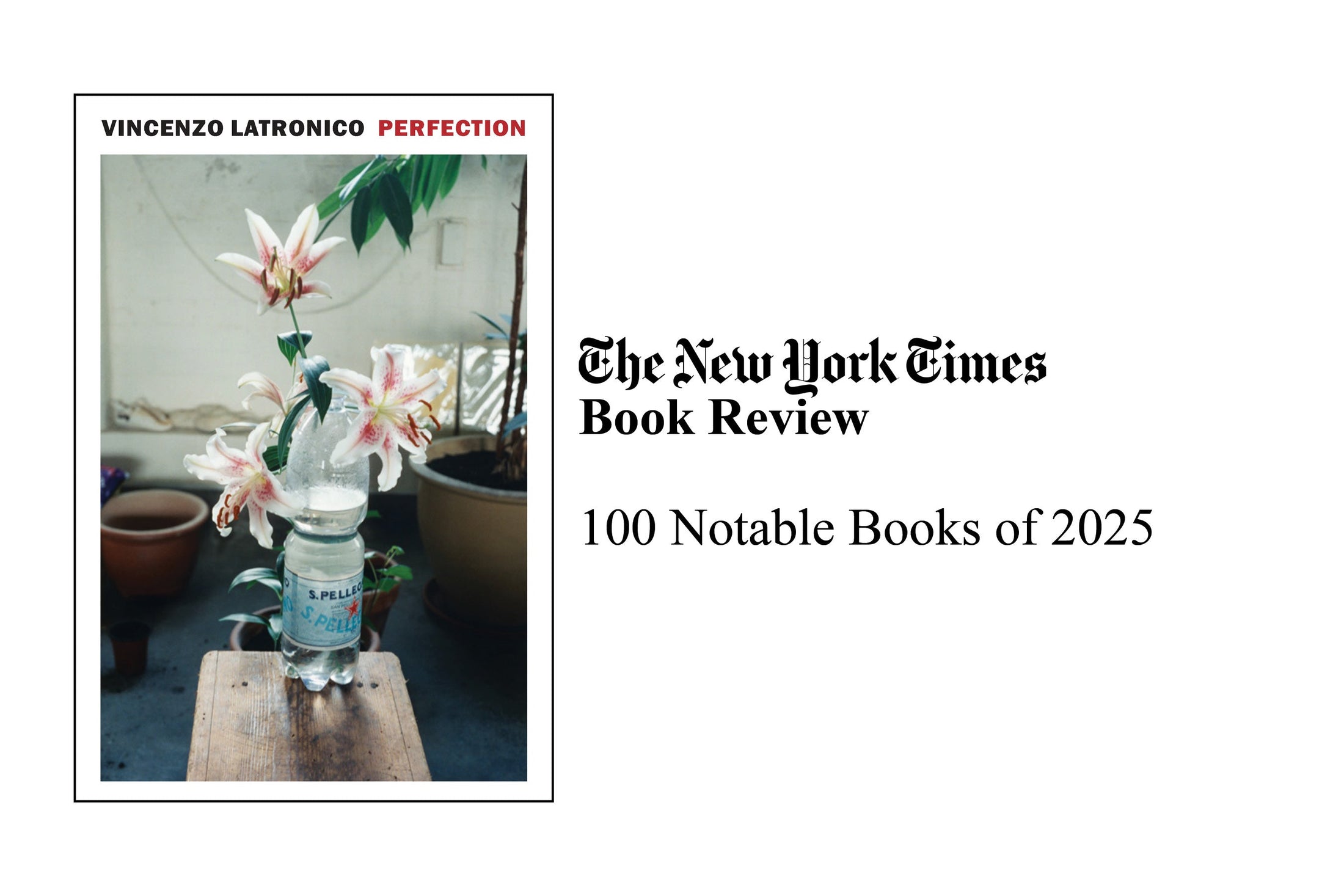 Vincenzo Latronico's 'Perfection' named a New York Times Book Review N ...