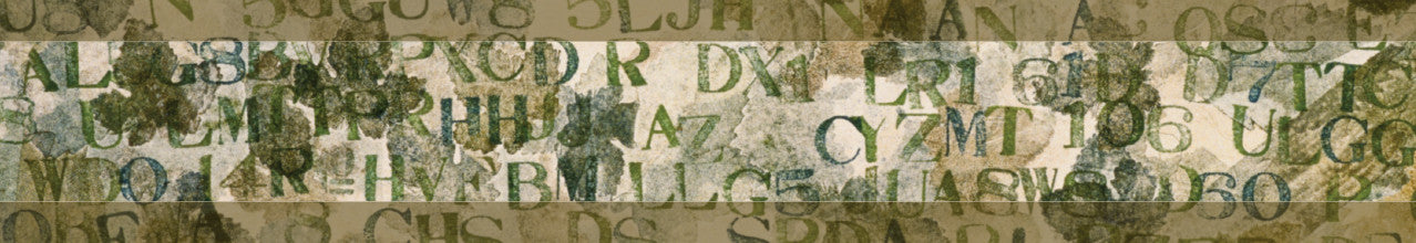 NYRB Lit: Contemporary Books of Literary Merit from Around the World ...