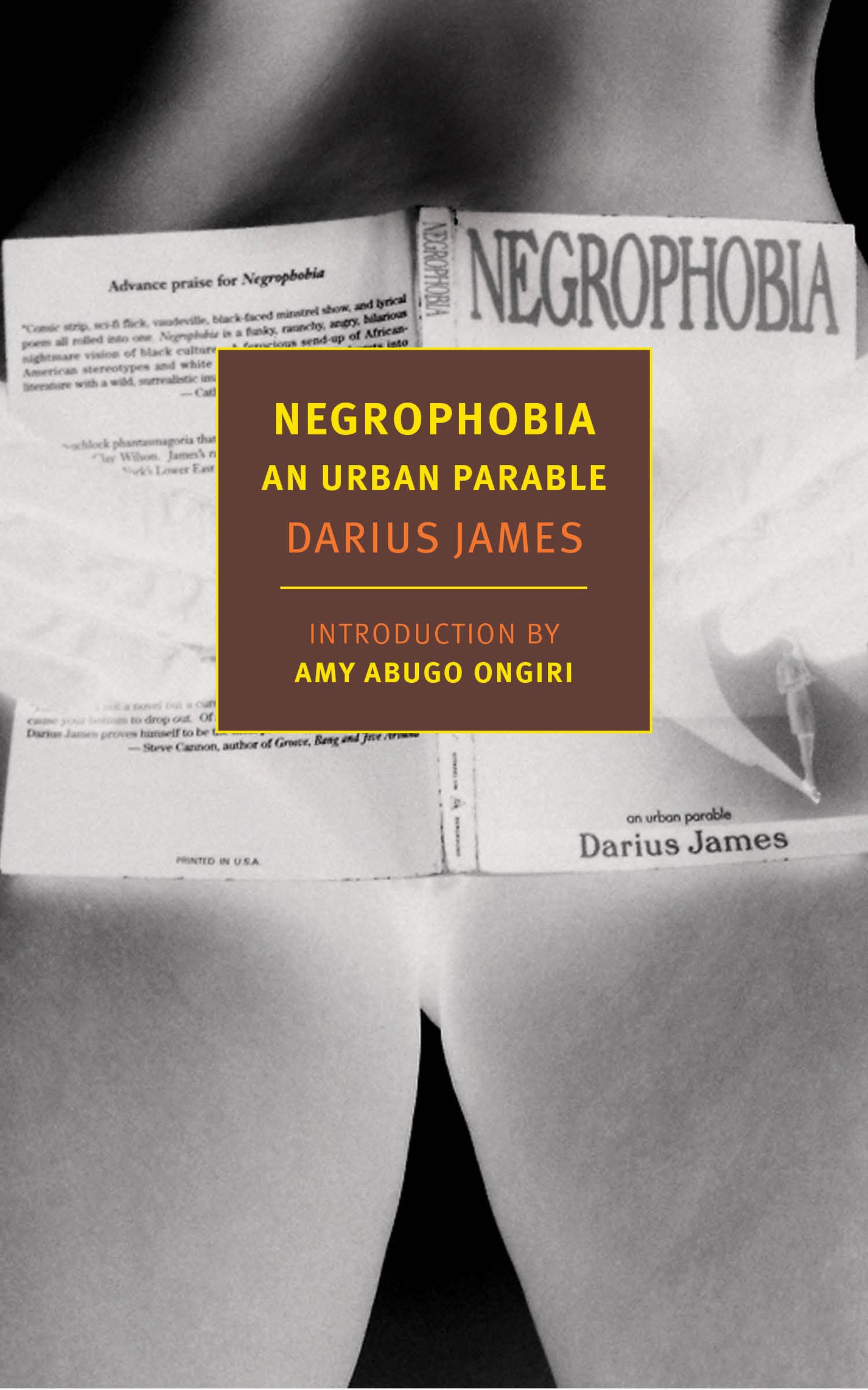 Negrophobia – New York Review Books